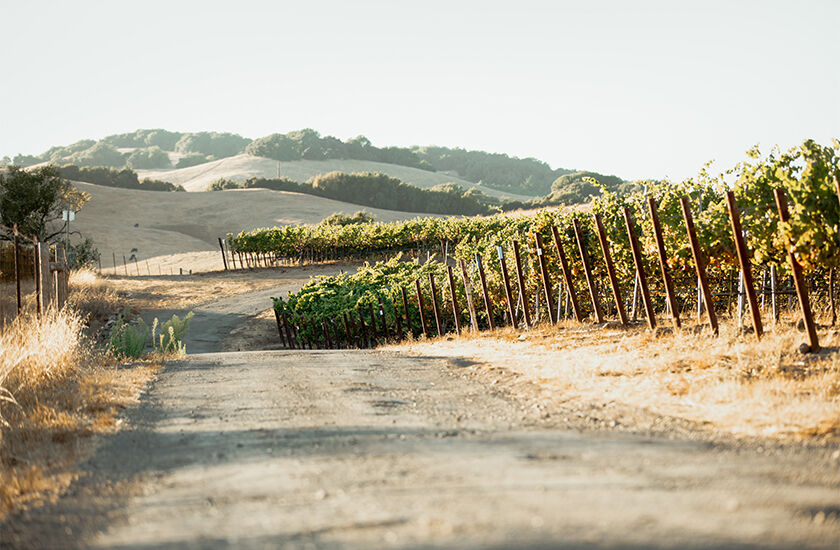 2021 Etude - Chardonnay Napa Grace Benoist Ranch. MacArthur Beverages